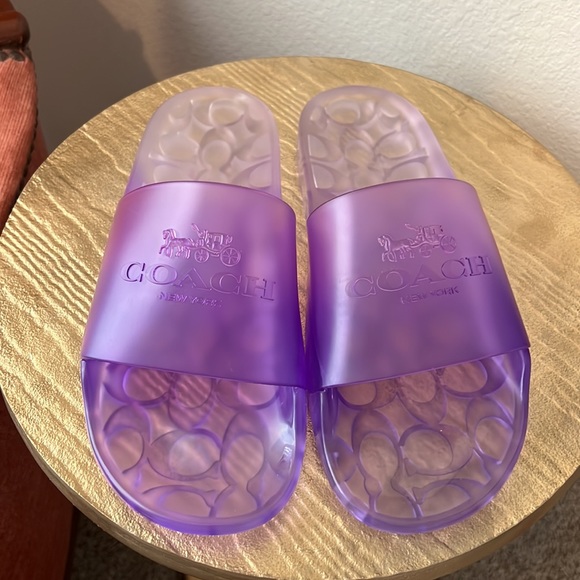 Coach | Shoes | Coach Ulyssa Rubber Jelly Slide Designersandals Purple ...
